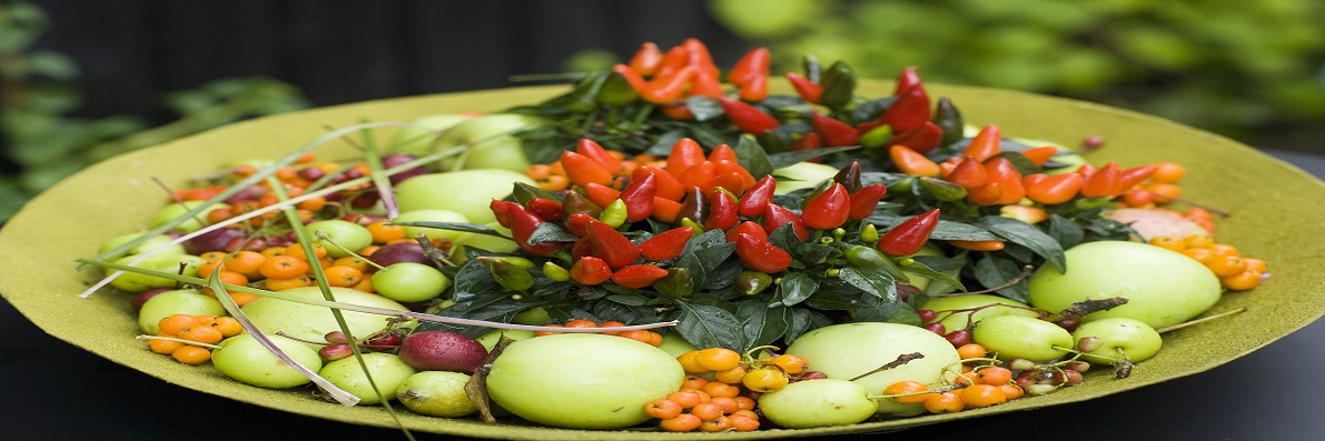 GASA Group Germany Webshop