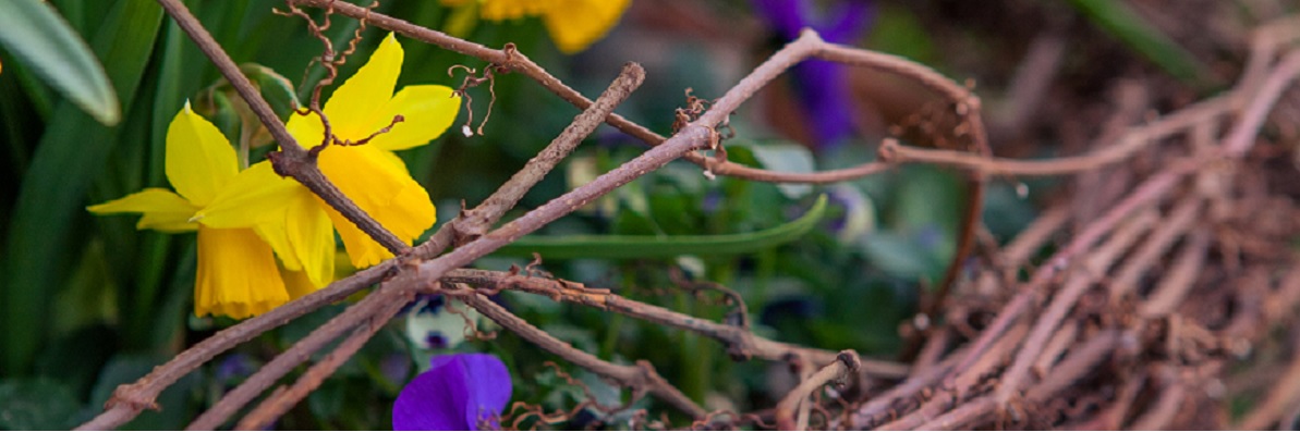 GASA GROUP Germany Webshop